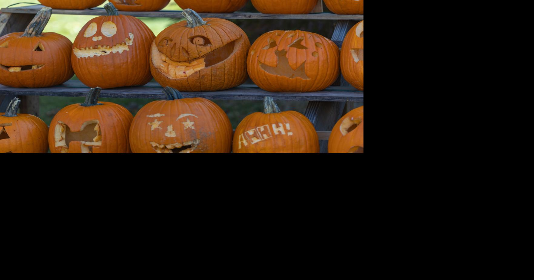 PHOTOS: Preparing the pumpkins | Photo Galleries | waynecountynews.com