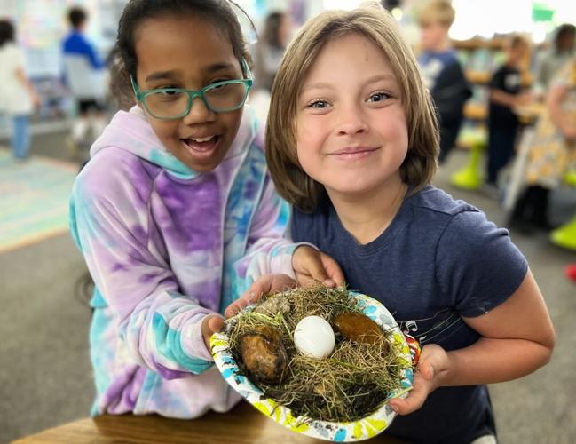 Goose Makes Nest at Fritsch Elementary School in Carson City | School ...