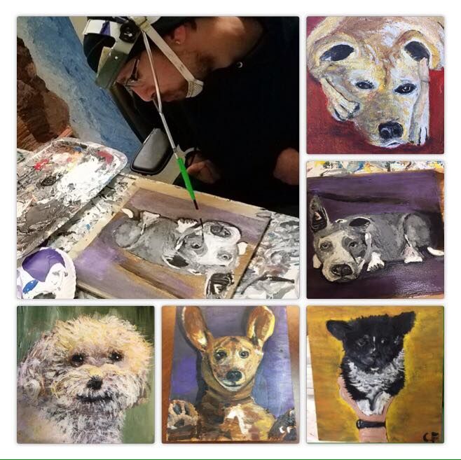 Someone 2 Know: Connor Fogal | Features | 2news.com