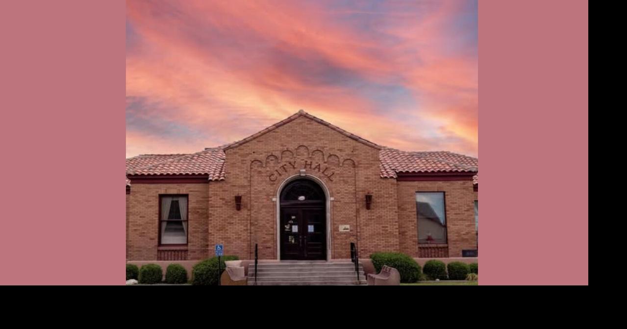 Special Election in July to decide Fallon City Council Ward 1 contest ...