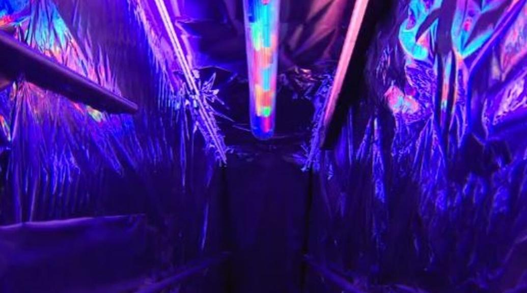 Upside Down Land Exhibit Opens at The Potentialist Workshop | News ...