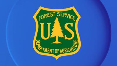 U.S. Forest Service issues Dog Valley Safety Alert | Local News | 2news.com