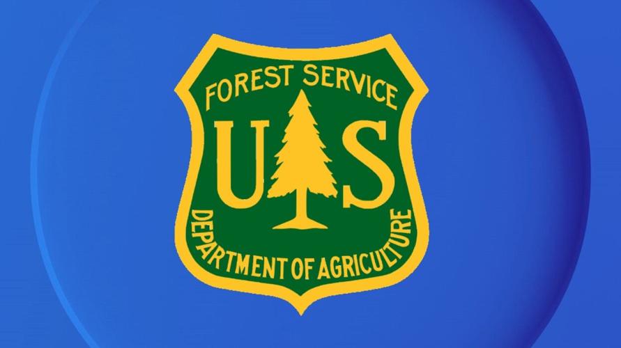 U.S. Forest Service issues Dog Valley Safety Alert | Local News | 2news.com
