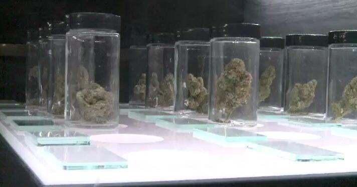 Mormon Church Backs Deal to Allow Medical Marijuana in Utah | | 2news.com