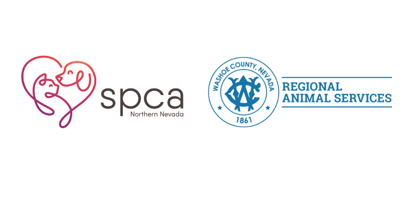 Local Animal Agencies Raise Awareness: Hot Temperatures In Cars is ...