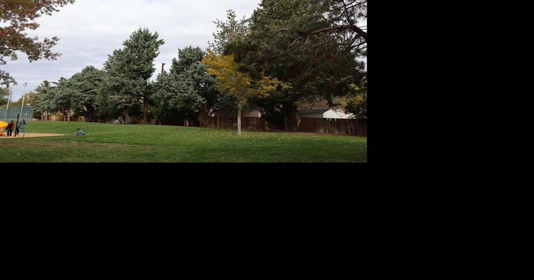 City of Sparks to remove 27 trees at Aimone Park | Local News | 2news.com