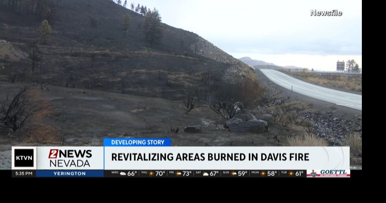 Revitalizing areas burned in the Davis Fire | Fire Watch | 2news.com