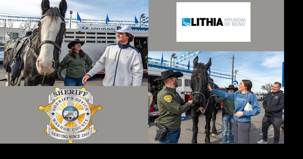 Sheriff's Mounted unit receives donation to support essential horse ...