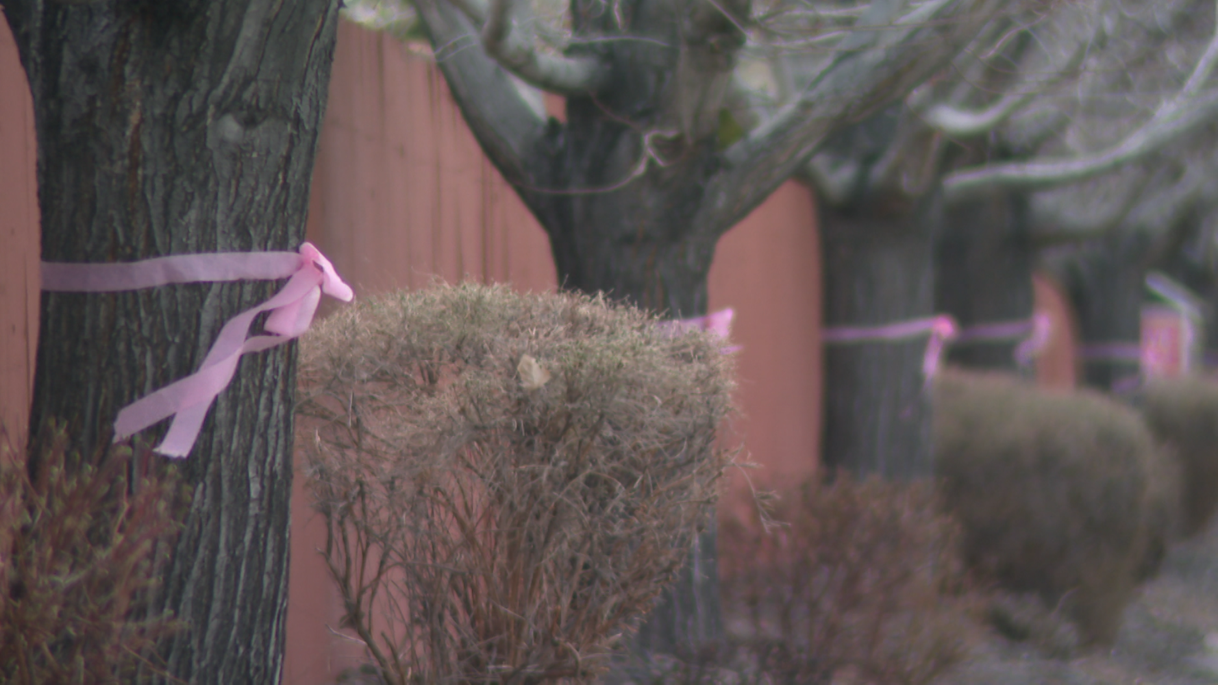 DA and Sheriff announce open murder charge for Nicholas Loving in death ...