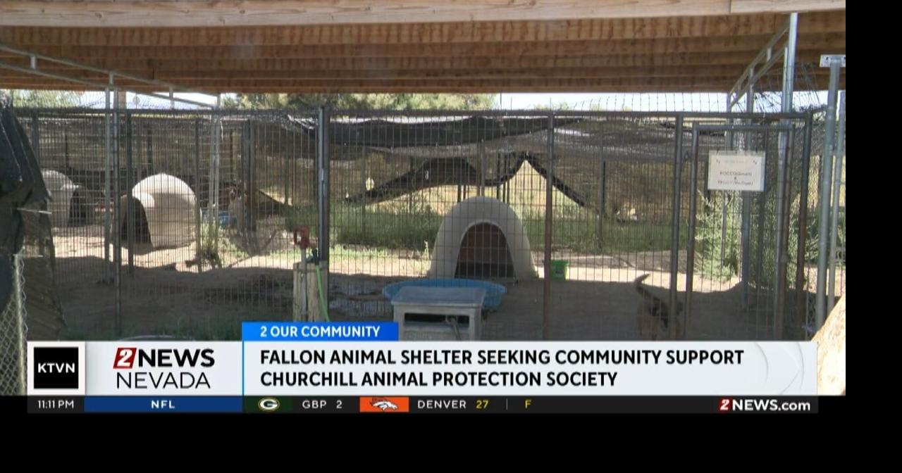 Churchill Animal Protection Society seeking community support | Local ...