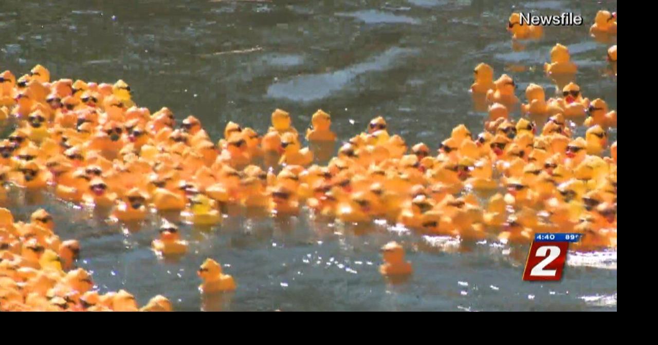 Adopt A Duck Humane Society Fundraiser | News | 2news.com