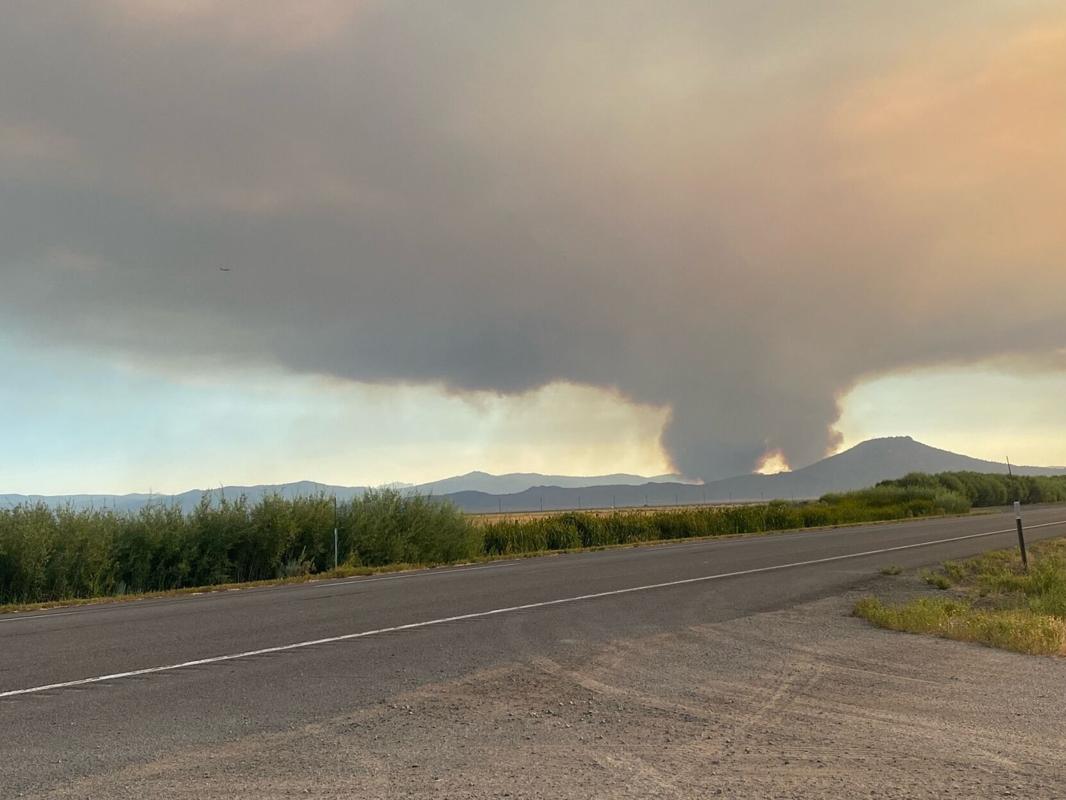 Gold Complex Fire Grows to Around 2,300 Acres, Power Outage Possible in ...