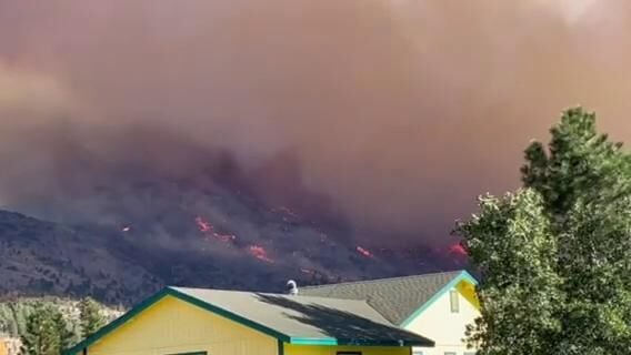 Bear Fire in Sierra County now fully contained at 3,323 acres ...