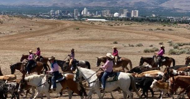 Annual Reno Rodeo Cattle Drive Rides Into Town | | 2news.com