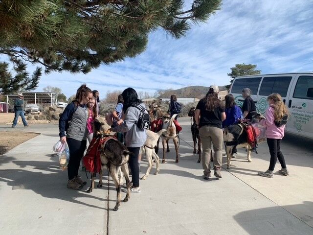 Girl Scout Goat Expedition Teaches Leadership Skills | News | 2news.com