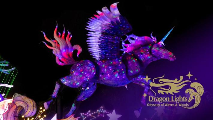 Dragon Lights Festival closes Wednesday for weather-related emergency ...