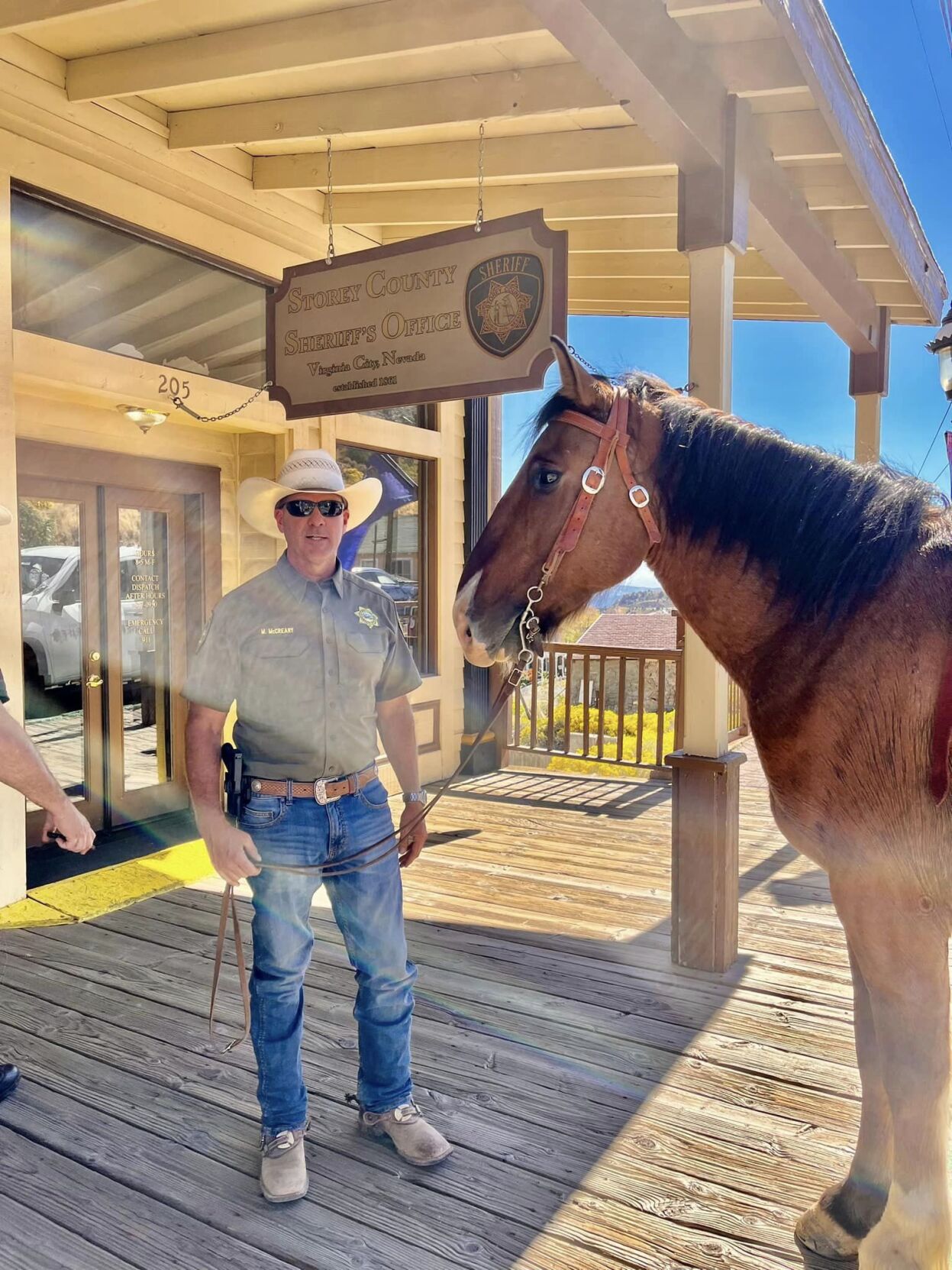 Storey County Sheriff's Office welcomes its new horse, Boomer! | Local ...