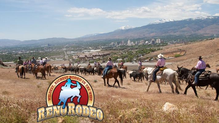 Reno Rodeo Cattle Drive arrives at rodeo grounds, kicks off event ...
