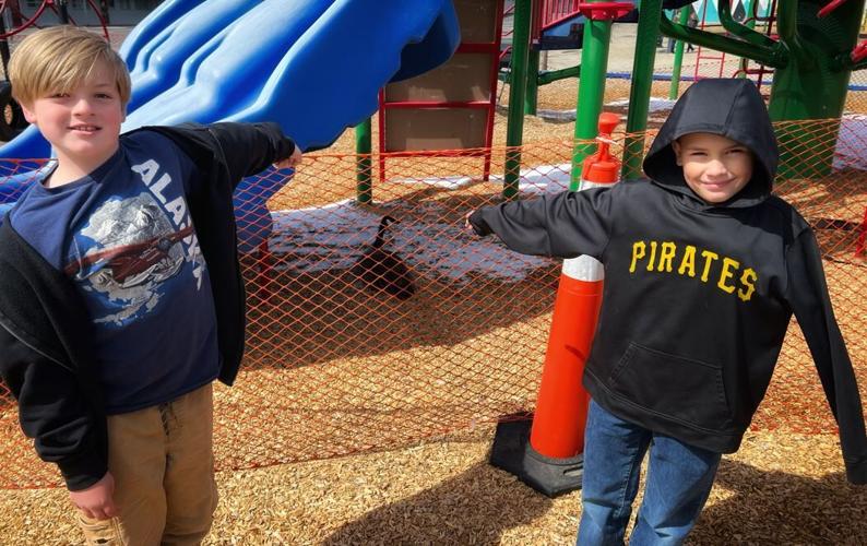 Goose Makes Nest at Fritsch Elementary School in Carson City | School ...