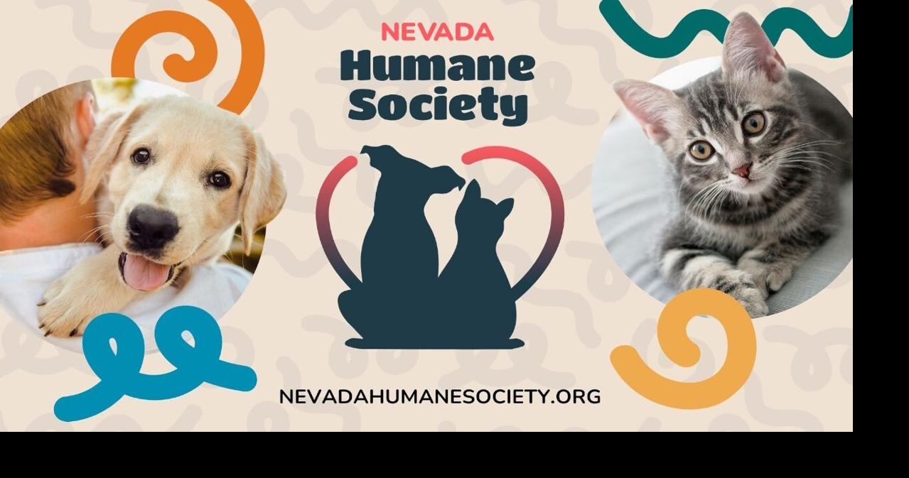 Nevada Humane Society to unveil remodel to improve adoptions, enhance ...