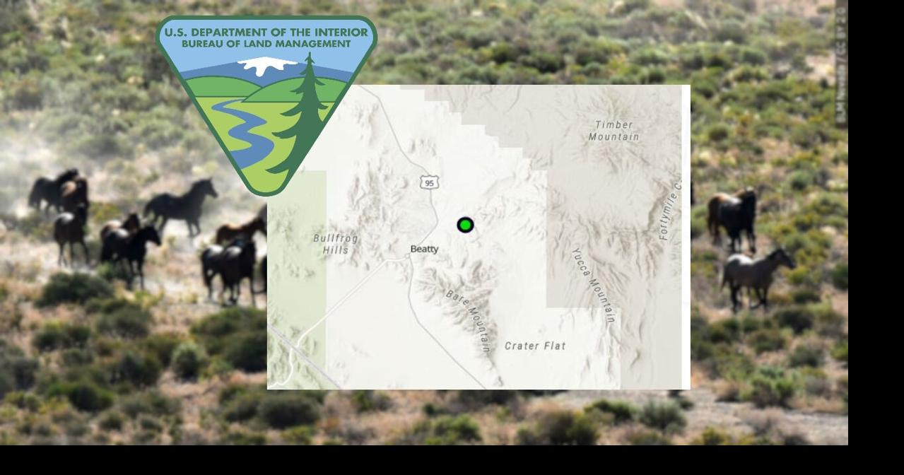 BLM to begin emergency wild burro gather near Beatty due to ...
