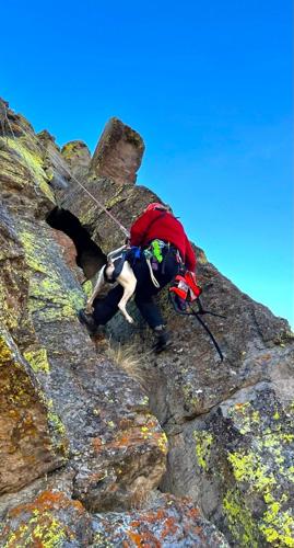 Washoe County Sheriff's Office Hasty Team Helps Hunter Rescue Dog ...