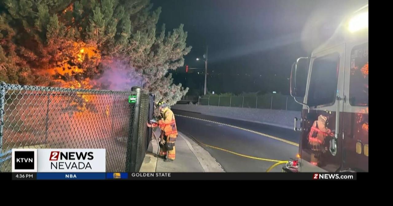 Multiple trees catch fire overnight | Local News | 2news.com