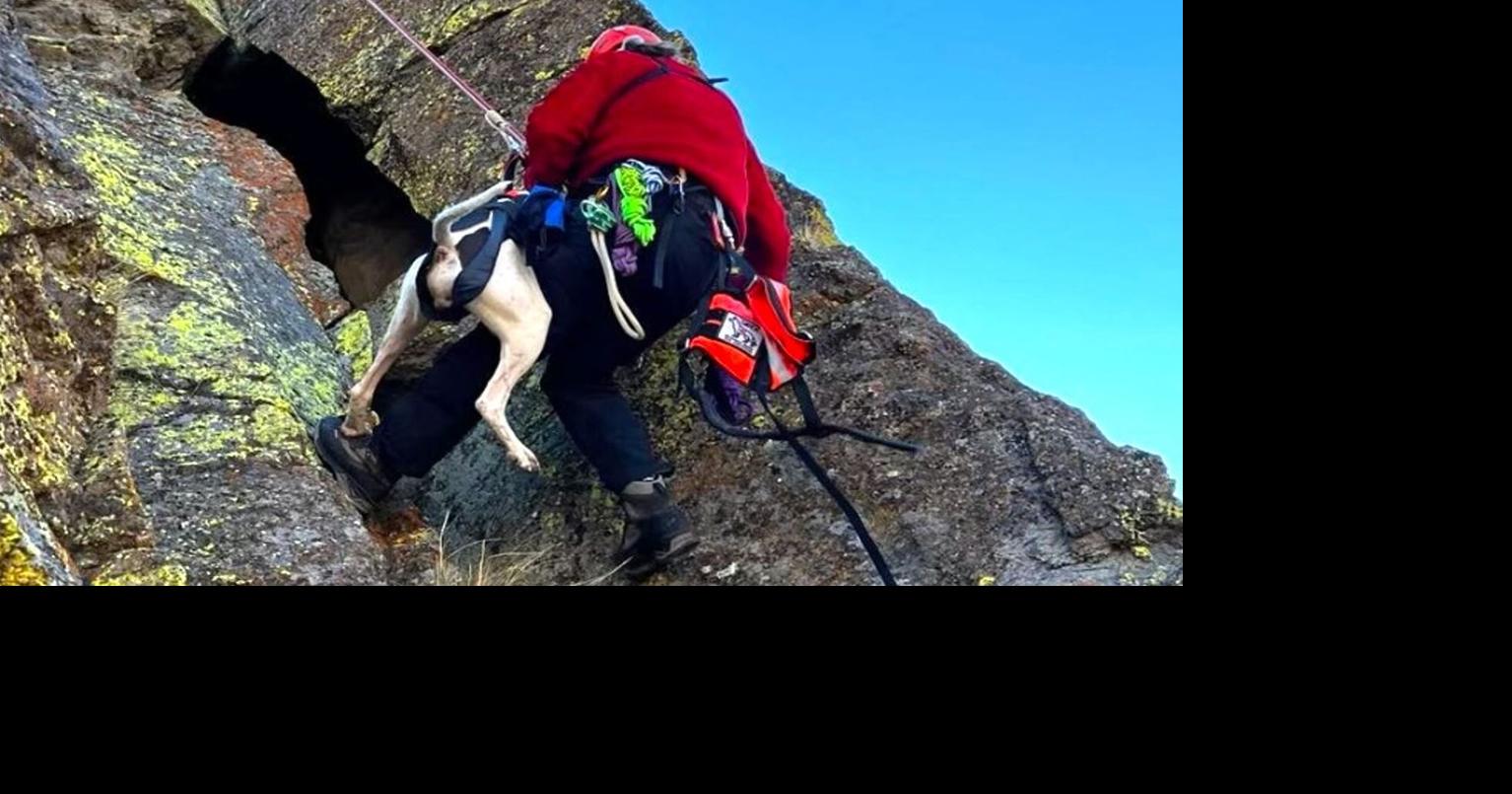 Washoe County Sheriff's Office Hasty Team Helps Hunter Rescue Dog ...