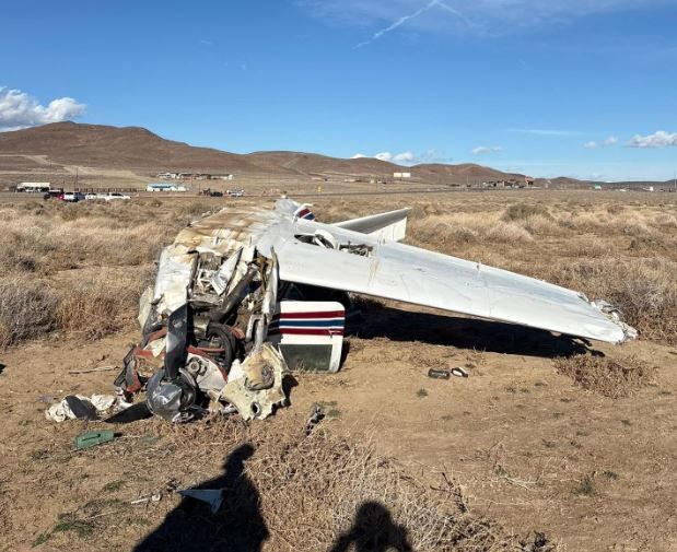 Dog resting comfortably after suffering broken rib in small plane crash ...