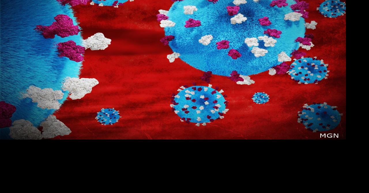 US Measles Cases This Year Reach 125 | News | 2news.com