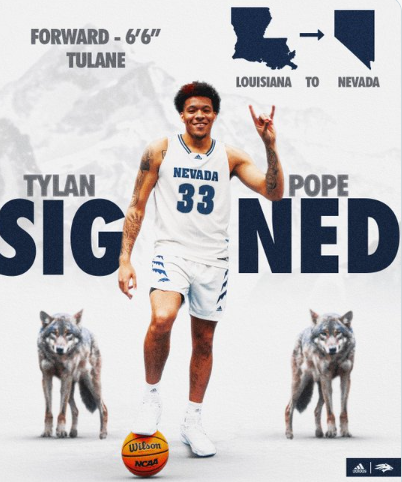 Pack Men's Basketball adds Tulane Transfer Tylan Pope | Sports | 2news.com