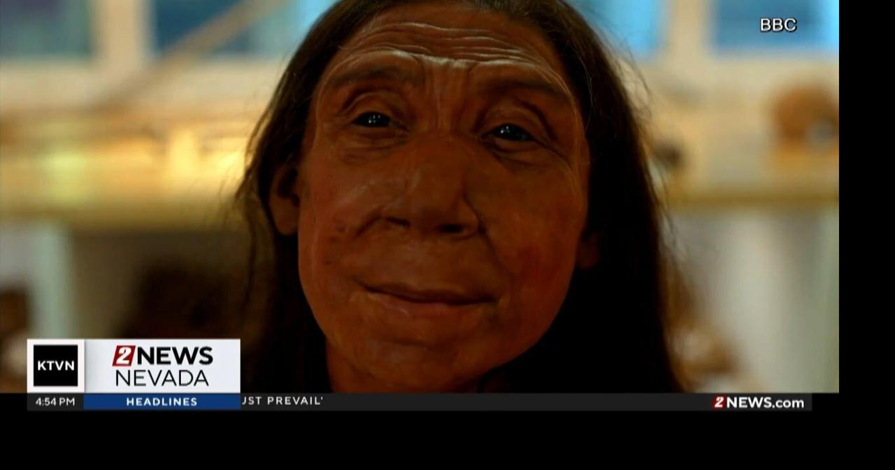 Neanderthal Face Reconstructed | News | 2news.com