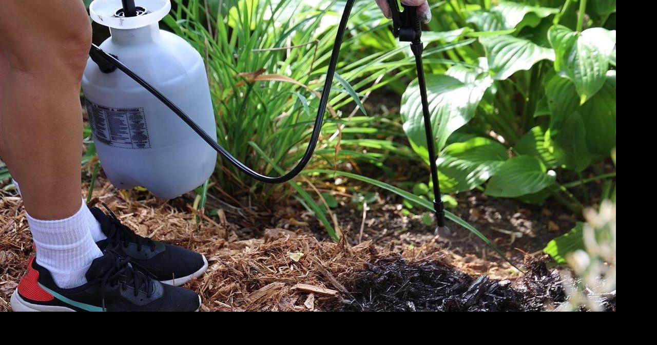 Easy spring lawn and garden updates you can do in a weekend (or less ...