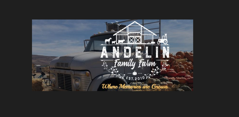 Andelin Family Farm 2024 Corn Maze Reveal | Local News | 2news.com