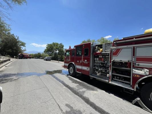 Crews knock down fires caused by arson in Sun Valley | Fire Watch ...