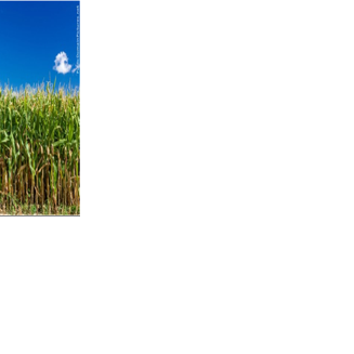 Reno Food Systems receives $18,150 from the Community Foundation of ...