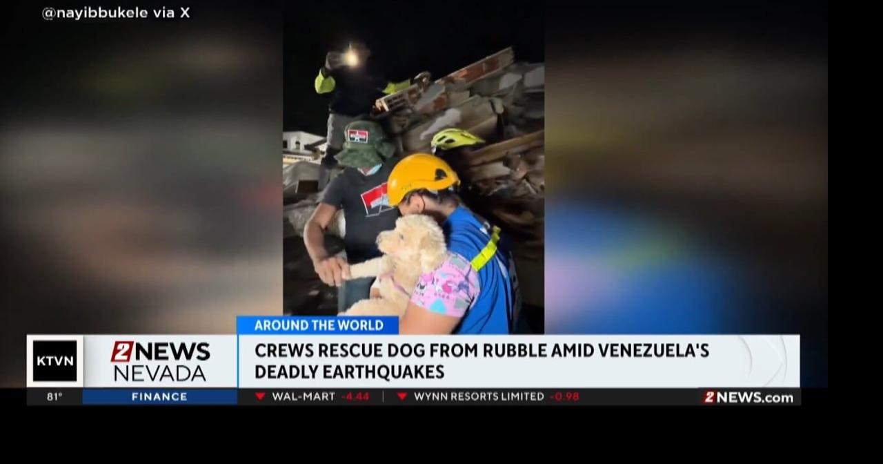 Dog rescued from rubble in Venezuela after two massive earthquakes last ...