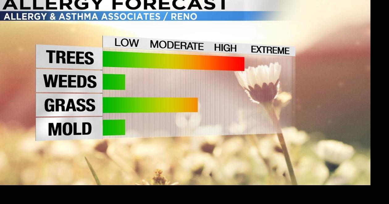 Tree Pollen Remains in High Range; Pine, Juniper Also Contributing to ...