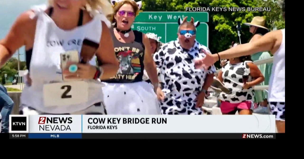 "Cow Key Bridge Run" in Florida | News | 2news.com