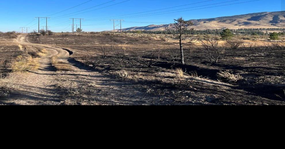 CAL FIRE: Crews Continue Mopping Up After Brush Fire Near Verdi ...