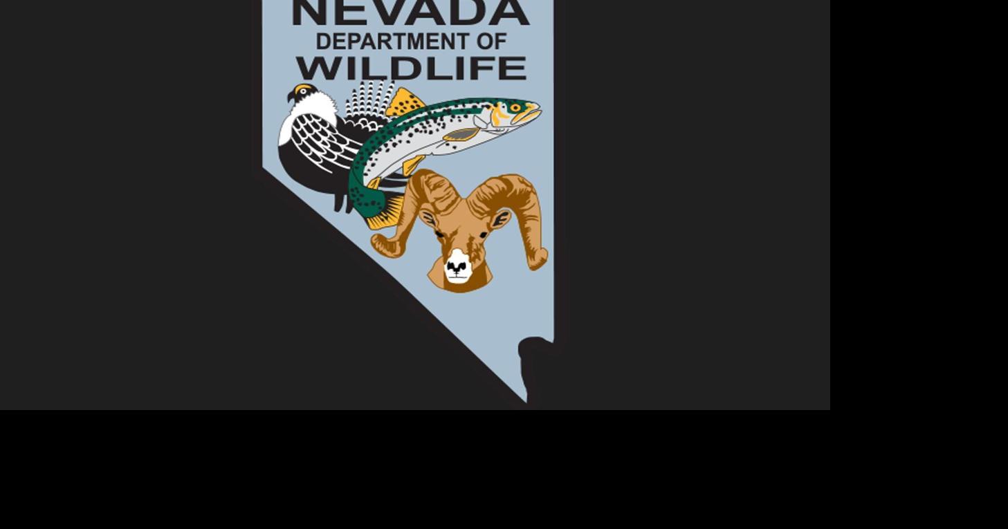 Nevada Department of Wildlife Investigating Possible Wolf Sighting Near ...