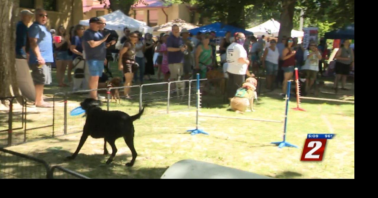 Art Paws Event | News | 2news.com