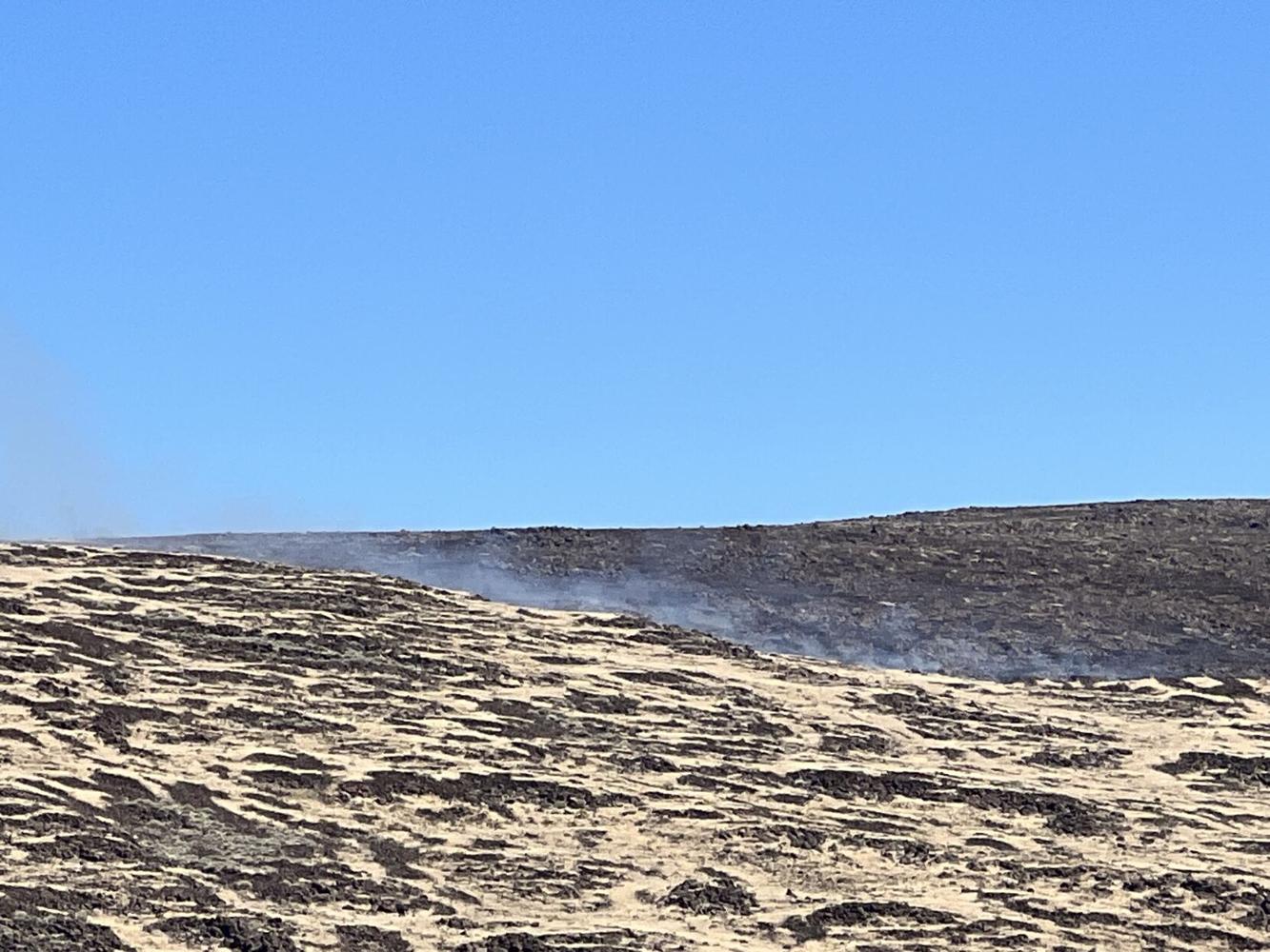 Gold Fire near Golden Eagle Regional Park now 98% contained | News ...