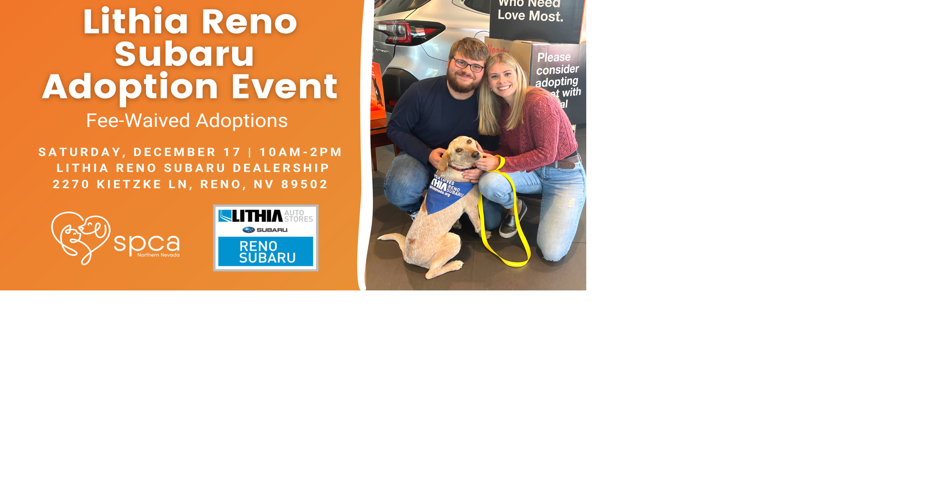 Lithia Reno Subaru Waiving Fees for SPCA Pets up for Adoption this ...