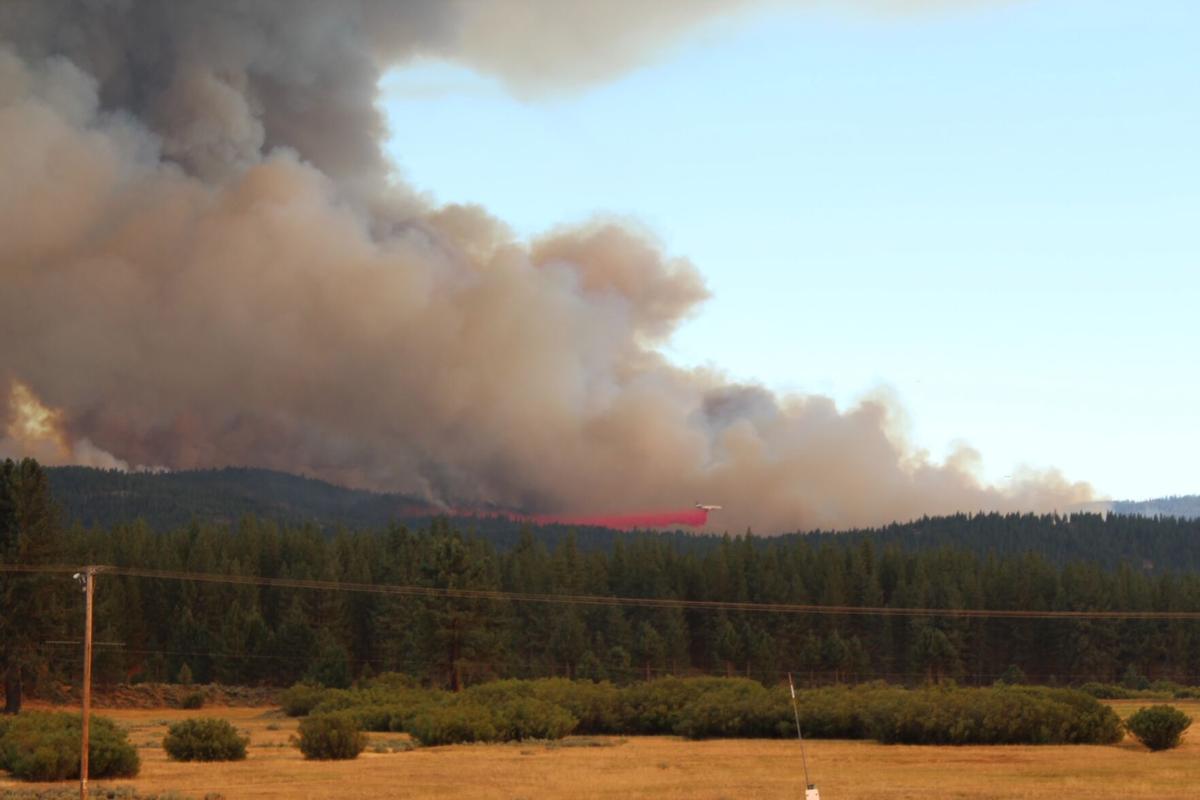 Gold Complex Fire Grows to Around 2,300 Acres, Power Outage Possible in ...