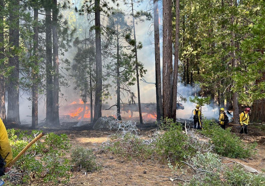 Small Wildfire Under Investigation Near Emerald Bay | News | 2news.com