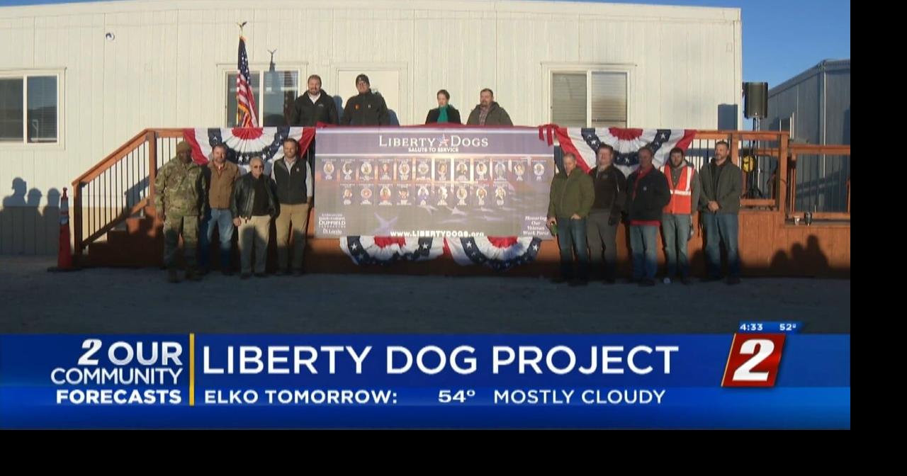 Liberty Dogs: Connecting Veterans with Companions | News | 2news.com
