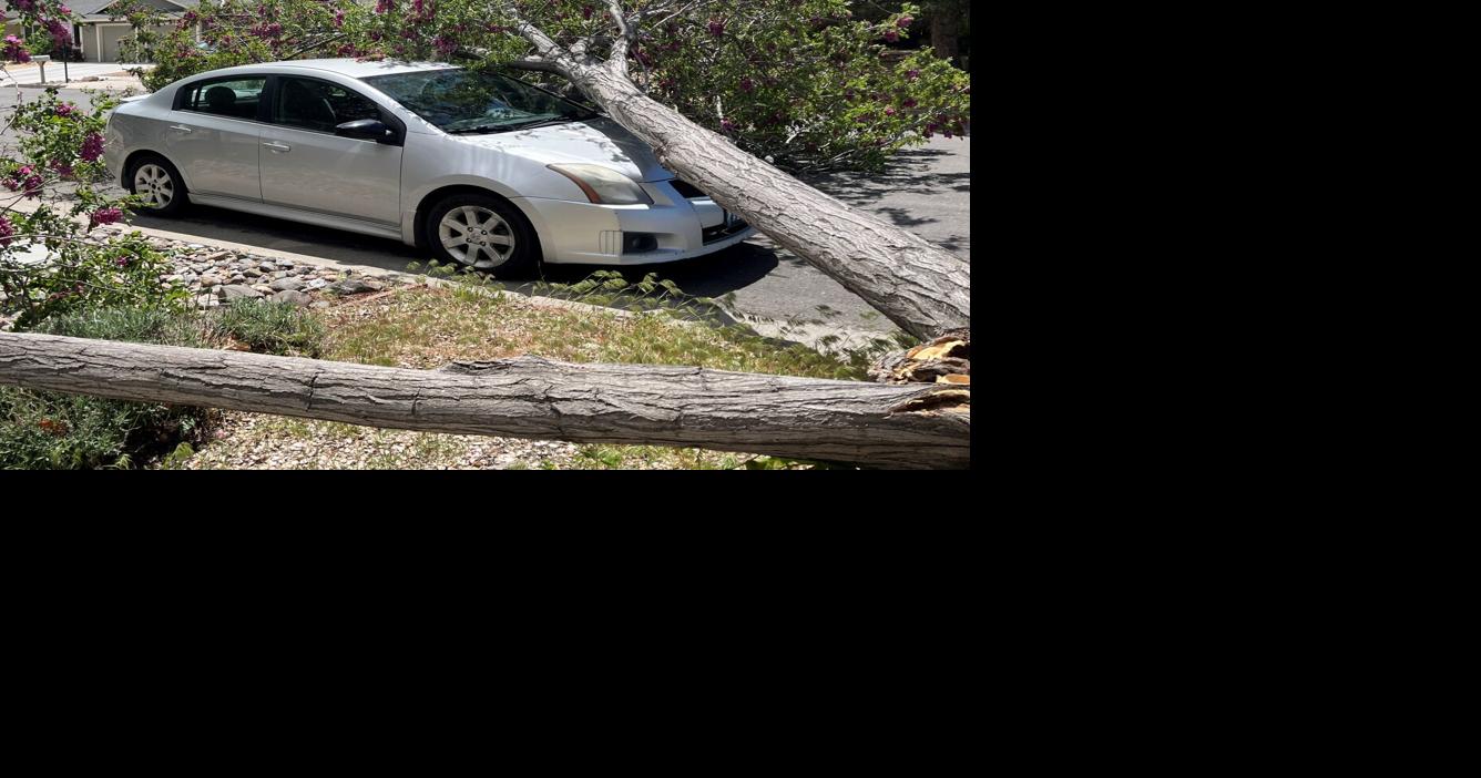 Heavy winds cause major damage and outages across northern Nevada ...