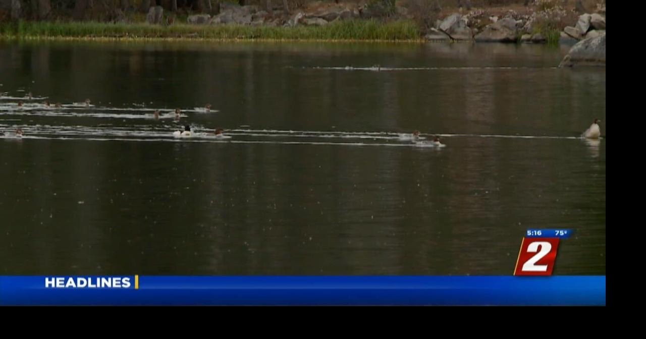 Otter Attack Investigation | News | 2news.com