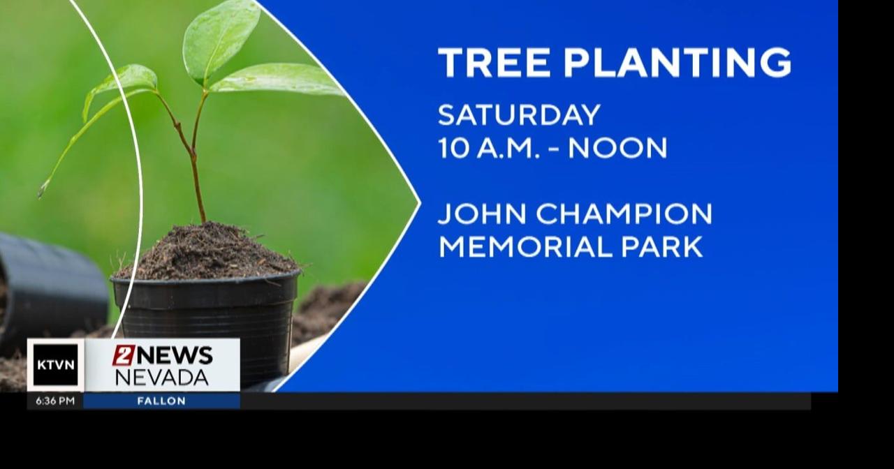 Tree planting volunteer day | Local News | 2news.com